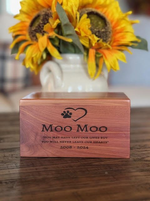 PAWS REMEMBERED PET AQUAMATION SERVICES - Updated December 2025 - 16 ...