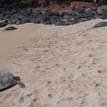 POHAKU PARK S-TURNS - Updated September 2025 - 52 Photos & 15 Reviews ...