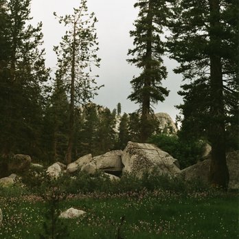 RED ROOM PHOTO LAB - Updated August 2024 - 61 Photos & 62 Reviews ...