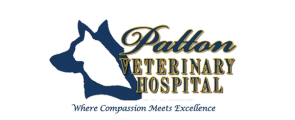 PATTON VETERINARY HOSPITAL - Updated March 2025 - 24 Photos & 36 ...
