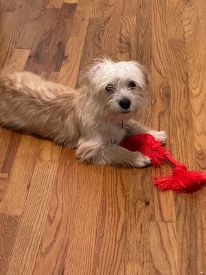 RUFF HOUSE RESCUE - Updated September 2025 - 146 Photos & 175 Reviews ...