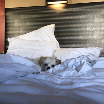 ALOFT OKLAHOMA CITY DOWNTOWN - BRICKTOWN - Updated December 2024 - 306 ...