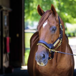 COPPER ROUX - 34 Photos - Venues & Event Spaces - 861 S Broadway ...