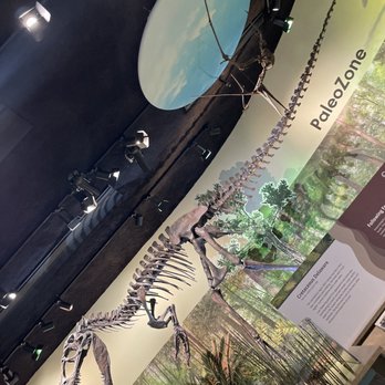 DELAWARE MUSEUM OF NATURE AND SCIENCE - Updated May 2026 - 137 Photos ...