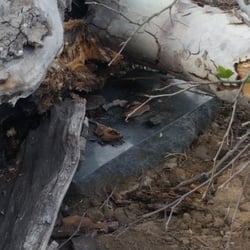 ANGELUS ROSEDALE CEMETERY - 103 Photos & 39 Reviews - 1831 W Washington ...