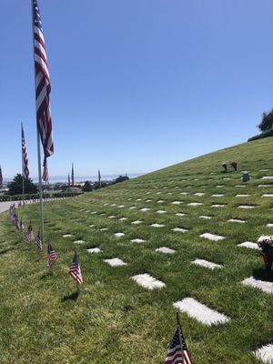 GOLDEN GATE NATIONAL CEMETERY - Updated May 2024 - 115 Photos & 32 ...