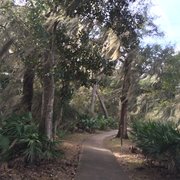 PRINCESS PLACE PRESERVE STATE PARK - 60 Photos & 13 Reviews - Parks ...