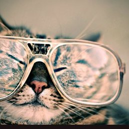 Security Finance Reviews | Read Customer Service Reviews of security ...