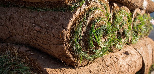 WESTERN TURF & HARDSCAPES - Updated October 2025 - 19 Photos & 30 ...