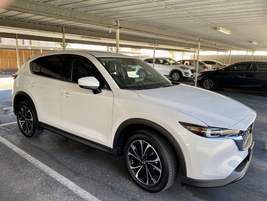 EXECUTIVE TINT - Updated December 2025 - 739 Photos & 472 Reviews ...