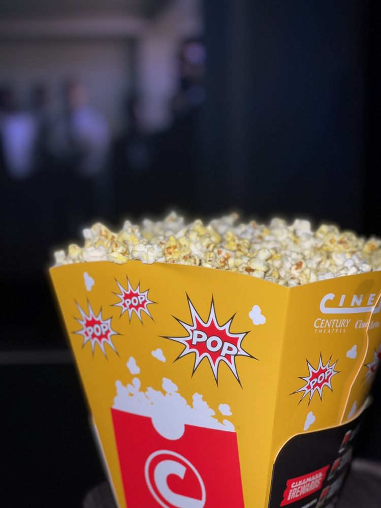 CINÉARTS SANTANA ROW - Updated May 2025 - 342 Photos & 482 Reviews ...