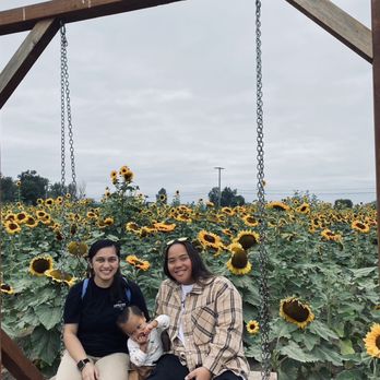 KNUTSON FARMS - Updated October 2024 - 61 Photos & 26 Reviews - 16406 ...