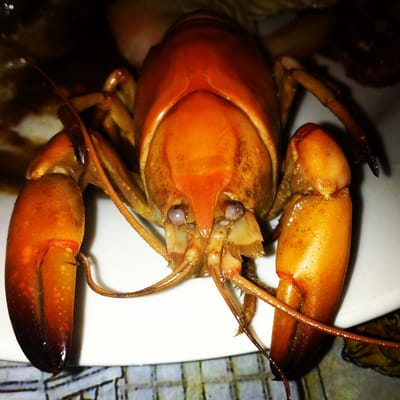 MISS MAUD SMORGASBORD RESTAURANT - Updated May 2026 - 23 Photos & 19 ...