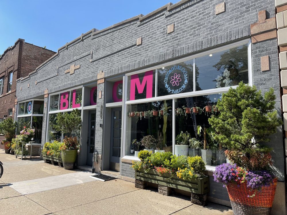 CHICAGO BLOOM - Updated April 2025 - 142 Photos & 44 Reviews - 2312 W ...