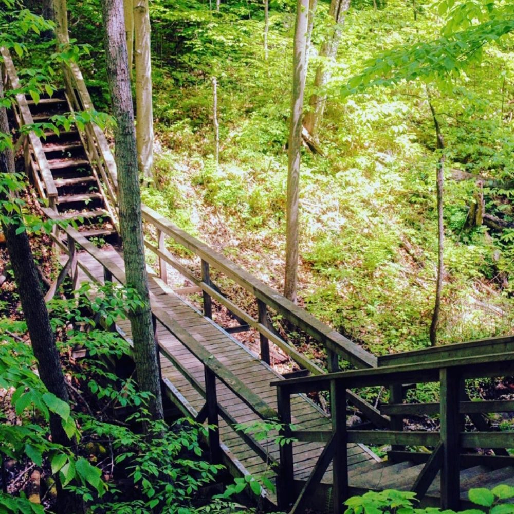 PROCTOR PARK CONSERVATION AREA - Updated September 2024 - 96 Young St ...