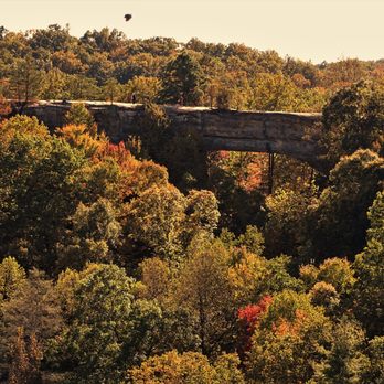NATURAL BRIDGE STATE PARK - Updated August 2024 - 580 Photos & 74 ...