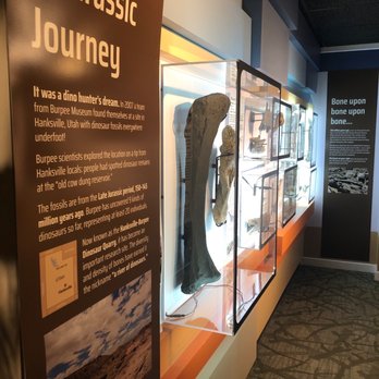 BURPEE MUSEUM OF NATURAL HISTORY - Updated October 2025 - 94 Photos ...