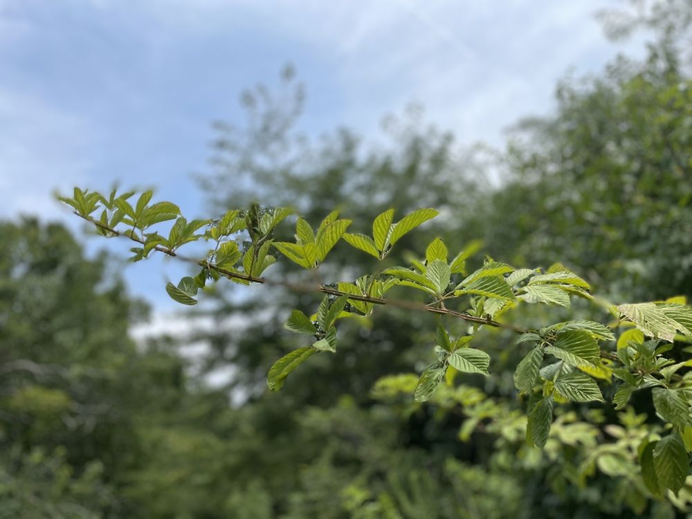BELLS BEND PARK AND OUTDOOR CENTER - Updated December 2025 - 44 Photos ...