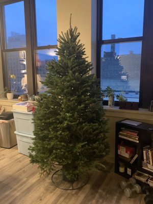 KELLNER GREENHOUSES - Updated December 2024 - 53 Photos & 31 Reviews ...