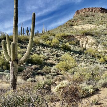 BROWN’S RANCH TRAILHEAD - Updated November 2025 - 347 Photos & 46 ...