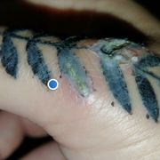 BATTLE BORN TATTOO - 99 Photos & 63 Reviews - Tattoo - 675 Holcomb Ave ...