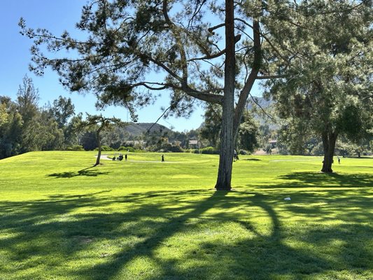 TEMECULA CREEK GOLF CLUB - Updated December 2025 - 46 Photos & 21 ...