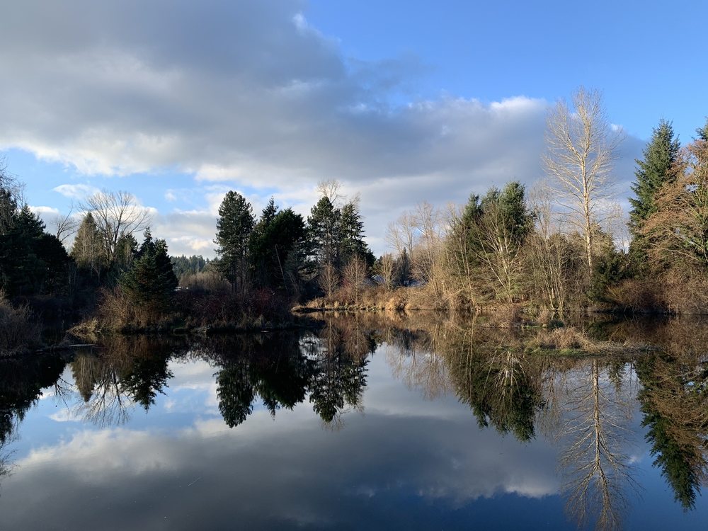 MEADOWBROOK POND - Updated January 2025 - 45 Photos - 35TH Ave NE ...