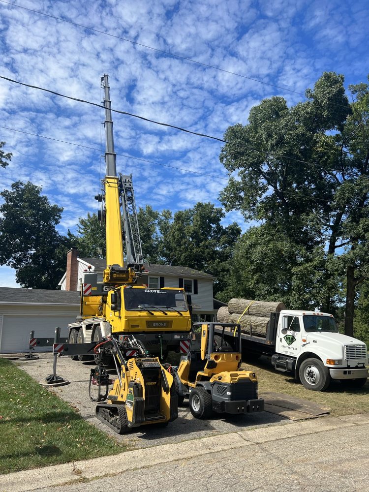 MLM TREE SERVICE - 30 Photos - 9917 Portage Rd, Portage, Michigan ...
