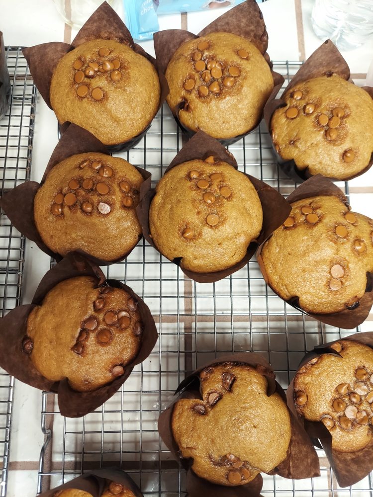 OMFG FANTASTIC GRUB - Updated August 2024 - 13 Photos - 40879 Hwy 41 ...