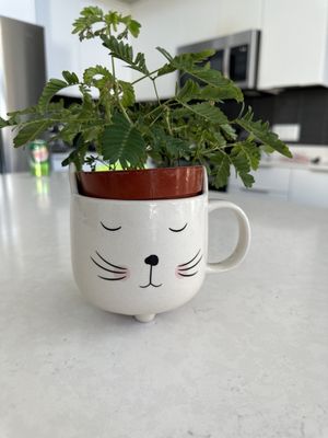 FWS OUTLET - Updated September 2025 - 76 Photos & 22 Reviews - 1272 ...