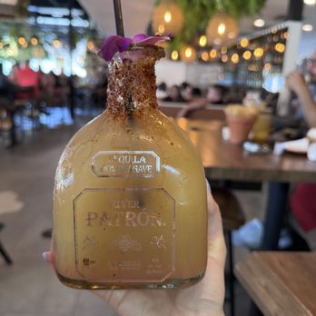 VIDA COCINA & TEQUILA - Updated May 2024 - 703 Photos & 193 Reviews ...