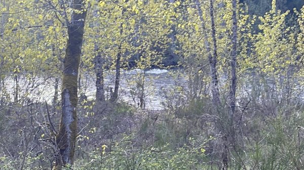 GAME FARM PARK - Updated October 2025 - 40 Photos & 13 Reviews - 3030 R ...