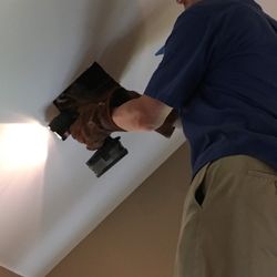 VETERAN PEST & WILDLIFE SERVICES - 25 Photos & 94 Reviews - Ashburn ...