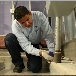 Smithereen Pest Management Services Reviews | Read Customer Service ...