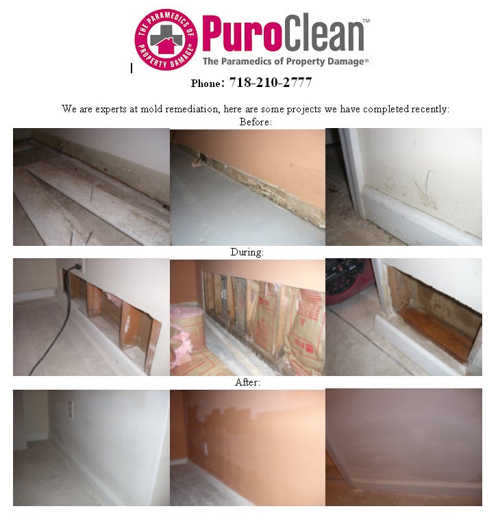 PUROCLEAN CERTIFIED RESTORATION - Updated May 2024 - 2575 E 14th St ...