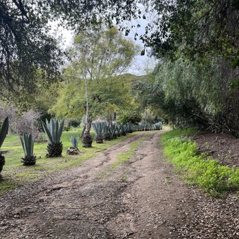 VINEYARD HACIENDA - Updated July 2025 - 201 Photos & 102 Reviews ...