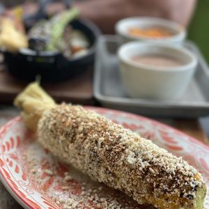 ELBO ROOM - 259 Photos & 348 Reviews - 241 S Ft Lauderdale Beach Blvd ...