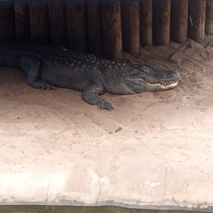 BASS PRO SHOP - 71 Photos & 40 Reviews - 750 Bass Pro Dr NE, Palm Bay ...