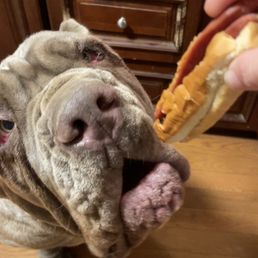 THE SNACK SHACK ON JOHNSON DRIVE - Updated December 2025 - 126 Photos ...