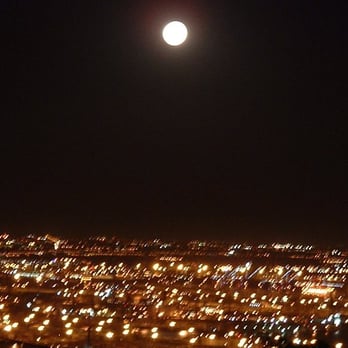 MIRALESTE BRANCH LIBRARY - Updated December 2025 - 44 Photos & 20 ...