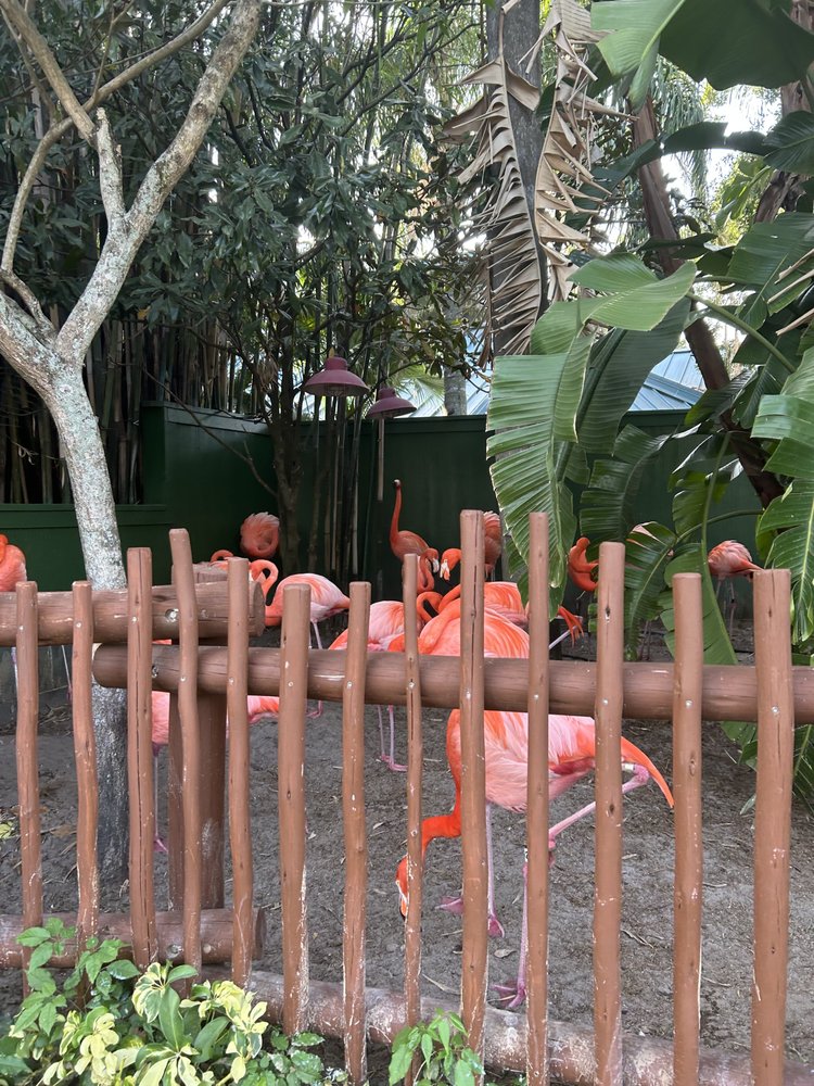 THE TRAVEL GODDESS AGENCY - Updated February 2025 - Contact Agent - 30 ...