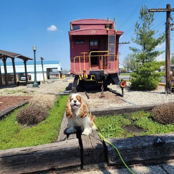 BACK 40 JUNCTION RESTAURANT - 63 Photos & 99 Reviews - 1011 N 13th St ...