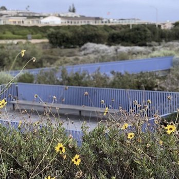 NEWPORT BEACH PUBLIC LIBRARY - Updated April 2025 - 235 Photos & 297 ...