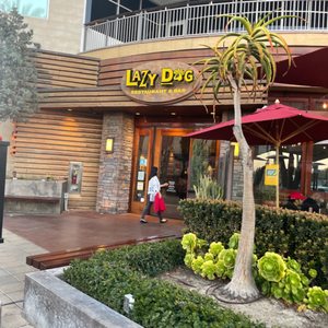LAZY DOG RESTAURANT & BAR - 2243 Photos & 1454 Reviews - 3525 W Carson ...