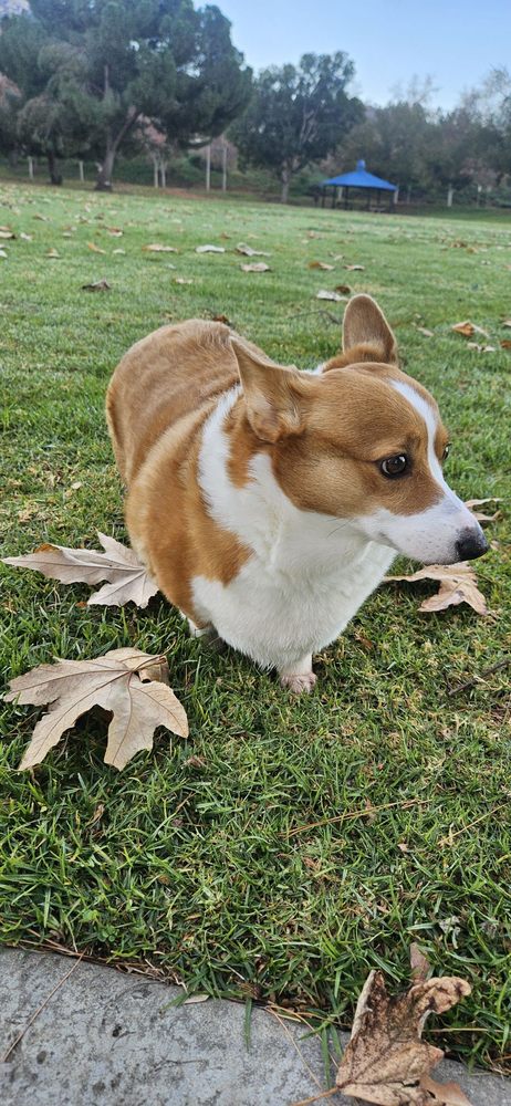 CREEKSIDE ELEMENTARY SCHOOL - Updated April 2025 - 13563 Heacock St ...