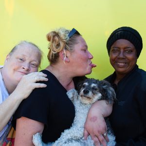 TRANSITION PROJECTS - Updated December 2025 - 13 Photos & 11 Reviews ...