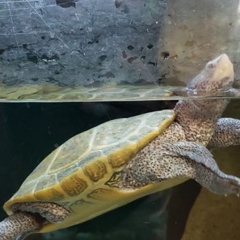 OREGON RIDGE NATURE CENTER - Updated October 2025 - 121 Photos & 50 ...