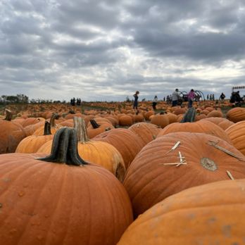 SOERGEL ORCHARDS & GARDEN CENTER - Updated October 2025 - 404 Photos ...