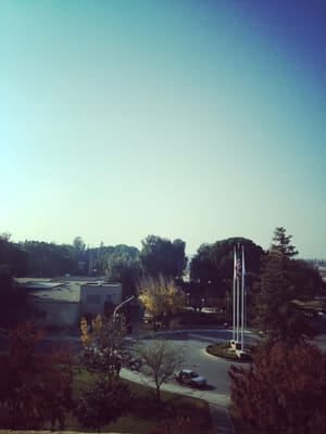 WALTER W STIERN LIBRARY - Updated October 2025 - 23 Photos - Cal State ...