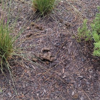 ATLAS EASTSIDE - Updated December 2025 - 38 Photos - 4617 Tannehill Ln ...